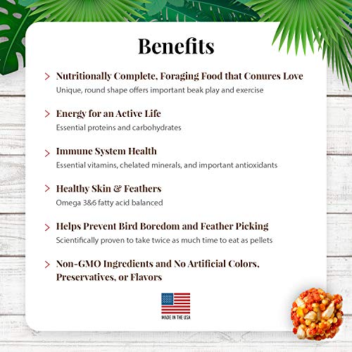LAFEBER'S Tropical Fruit Nutri-Berries Conure Food, Made with Non-GMO and Human-Grade Ingredients, for Conures (Tropical Fruit 10 oz)