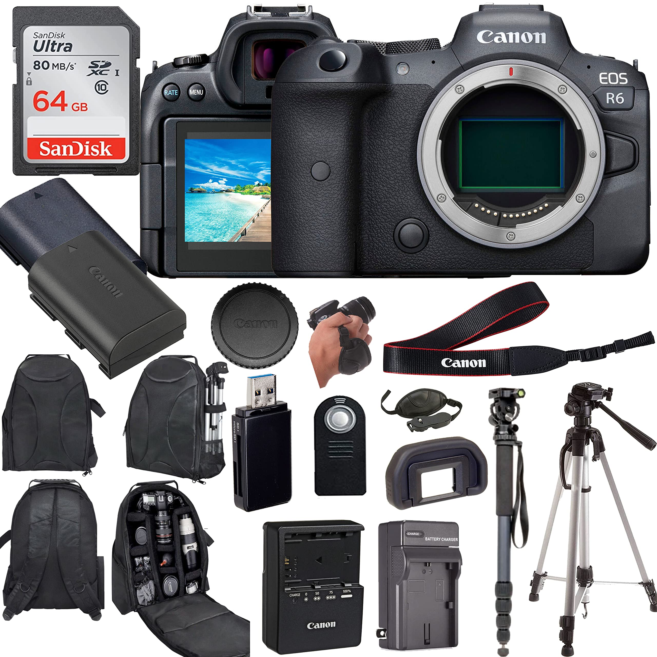 Canon EOS R6 Mirrorless Camera (Body Only) Enhanced with Professional Accessory Bundle - Includes 14 Items