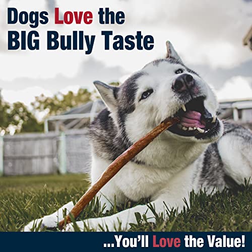 Cadet Bully Hide Sticks for Small, Medium and Large Dogs β All-Natural Beef Pizzle, High Protein, Low Fat, Long-Lasting, Grain & Rawhide-Free Dog Chews for Aggressive Chewers, Large (7 Count)