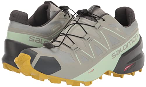 Salomon Speedcross 5 Gore-tex Trail Running Shoes for Women, Wrought Iron/Spray/Antique Moss, 9.5