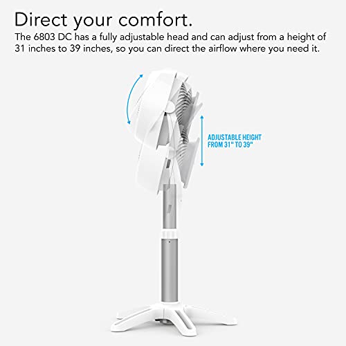 Vornado 6803DC Energy Smart Medium Pedestal Air Circulator Fan with Variable Speed Control, Ice White, CR1-0259-43