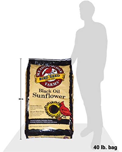 Meadow Ridge Farms Black Oil Sunflower Bird Seed, 40-Pound Bag