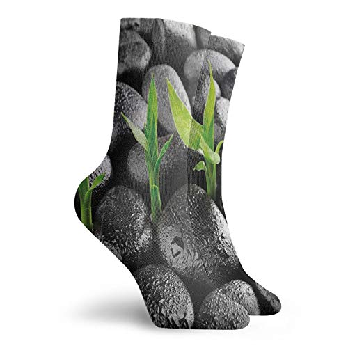 GULTMEE Plant Fashion Compression Socks,Basalt Stones With Bamboo Leaves Sticking,Performance Polyester Cushioned Athletic Crew Socks for Running,Athletic,Dark Taupe Lime Green -12 inch