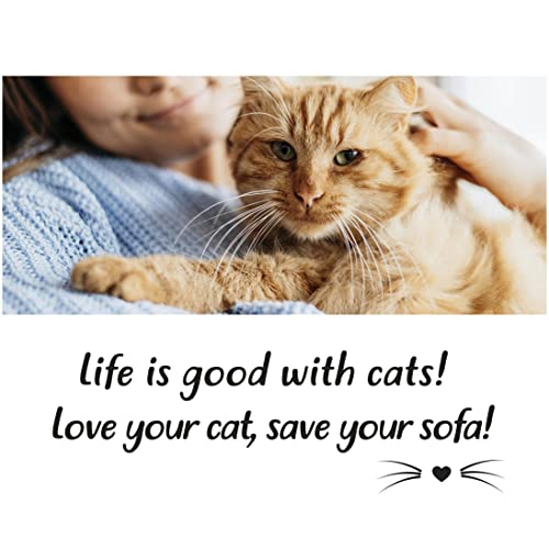 Sofisti - Cat Scratch Deterrent Tape for Furniture β 10 Double Sided Anti Scratching Sticky Tape - Cat Scratch Furniture Protector β Cat Training Tape Teaches Your Kitty Not to Scratch Your Couch