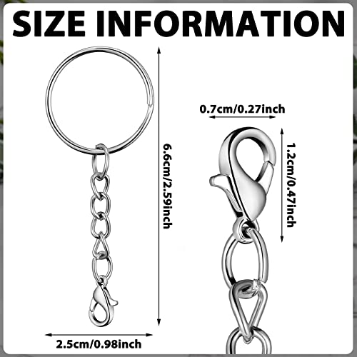 Sasylvia 100 Pcs Keychain Rings with Chain Key Chain Making Kit Include Split Key Ring with Chain, Open Jump Rings, Lobster Clasp, Keychain Ring for Crafts Jewelry Making Supplies, Silver