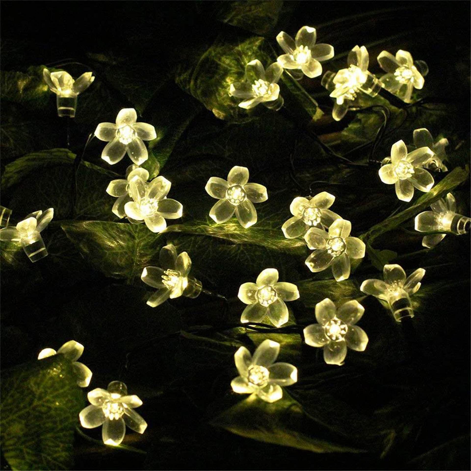 Solar Light String, Outdoor Waterproof Light String Garden Christmas Decoration Lights39feet 100 LED Solar Cherry Peach Flower String Light, Suitable for Home, Garden, Terrace, Wedding and Party(Warm