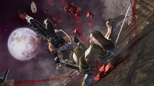 Ninja Gaiden II (Renewed)