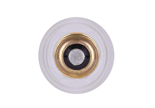 CANARM B-ST45-17C, Edison, 60W E26-G, Clear Glass, ST45 Cone Shape, Dimmable, 2500 Hours Bulb, 1 Count (Pack of 1)