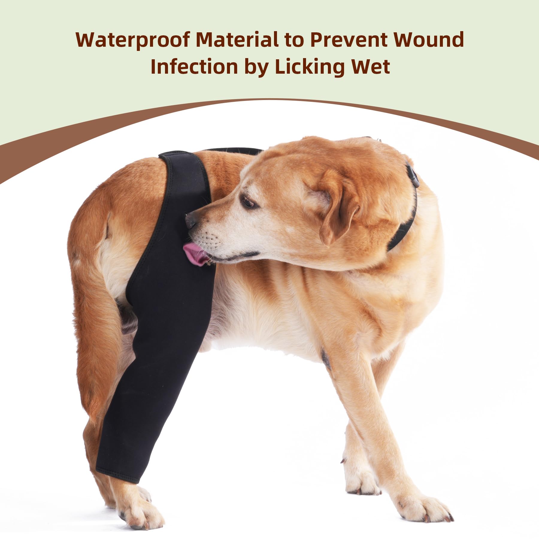 Dog Recovery Sleeve Back Leg Waterproof Diving Material,Dog Leg Sleeve to Stop Licking and Biting Firm and Secure, Adjustable Size, 2.5mm Thick Comfortable Alternative to Cone Collars (2XLarge)