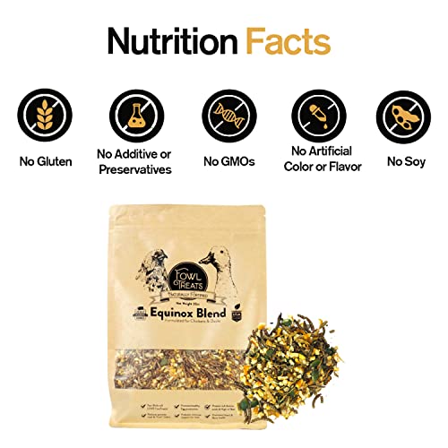 Fowl Treats Naturally Fortified Treats β Protein Rich Supplement Suitable for Chickens, Hens and Ducks, Hand Mixed with USA Grown Ingredients β Equinox Blend β 32oz