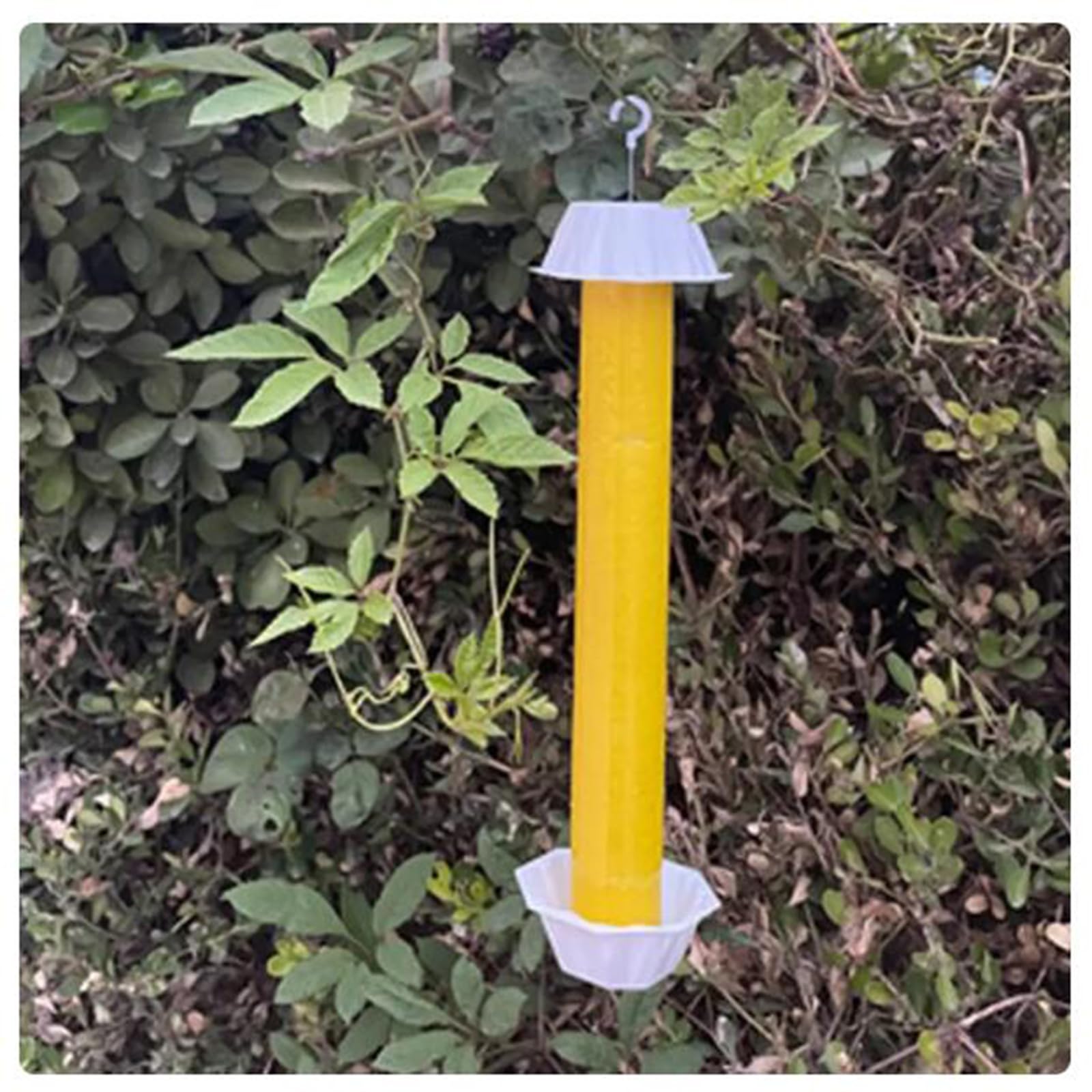 Fly Stick Sticky Fly Traps for Indoors and Outdoor Wasp Traps - Effective Pest Control 4 Pack