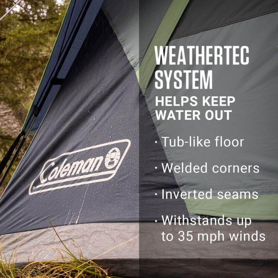Coleman Skydome 6 Person WeatherTec Easy Assembly Outdoor Family Camping Hiking Dome Tent, Blackberry