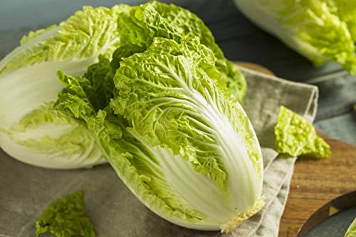 Gaea's Blessing Seeds - Chinese Cabbage Seeds - Michihili Heirloom - Non-GMO Seeds with Easy to Follow Planting Instructions - Open-Pollinated High Yield Heirloom 94% Germination Rate