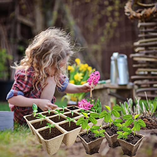 Fooyekep Seed Starter Tray,20 Pack Peat Pots for Seedlings,240 Cells Biodegradable Seed Starter Pots Germination Trays,Organic Seed Starter Kit with 20 Pcs Plant Labels