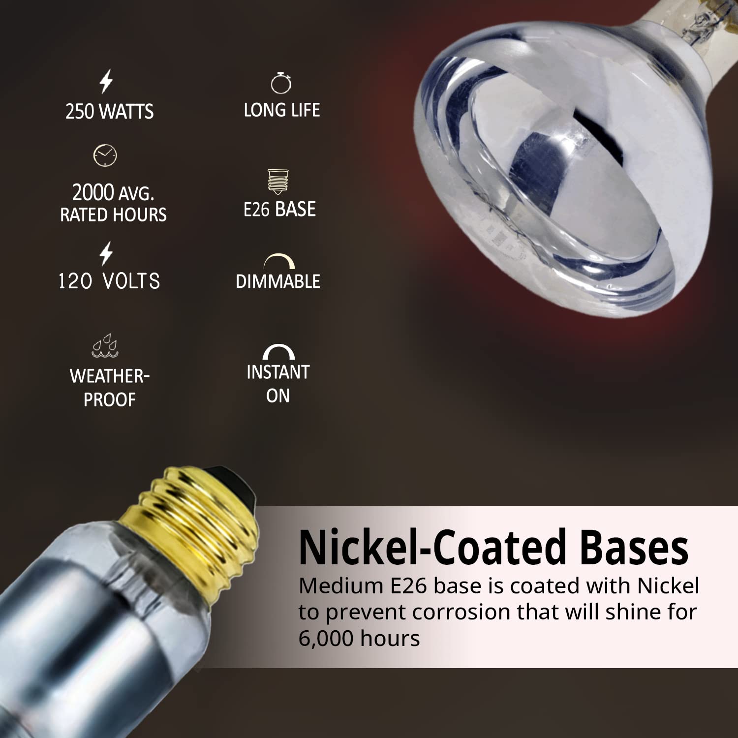 BULBMASTER 250 Watts R40 Heat Lamps Outdoor Bulbs for Pets Flood Light Bulb for Chickens Infrared Reflector 250W R40 Incandescent Medium E26 Base 2 Pack (CLEAR250R40-2PK) (250/R40/LEAR/2 PKk)