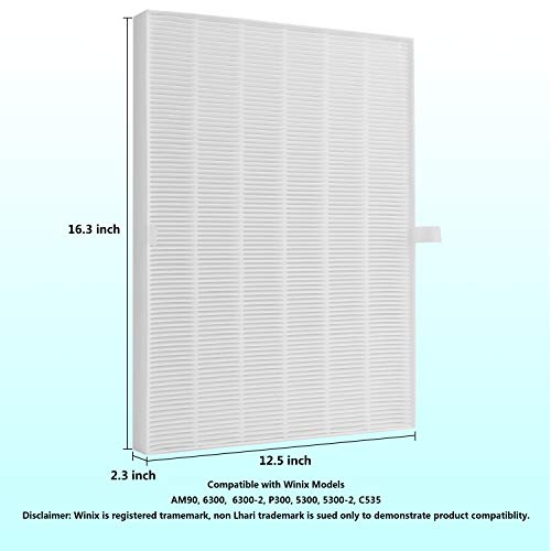 Lhari 2-Pack115115 HEPA Filter Size 21 with 8 x Activated Carbon Pre-Filters Compatible with Winix Air Purifier P300, 5300, 5500, 6300, C535 & 290, 300, DX95, AP-300PH