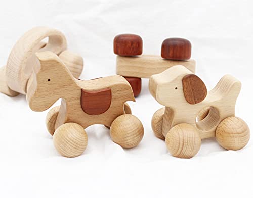 TEKOR Wooden Animal Push Toy with Wheels | Baby & Toddler | Grasping & Teething | Natural Organic Beech Wood | Develops Fine Motor Skill | Coordination | Smooth No Rough Edges | (Package of 4 Toys)