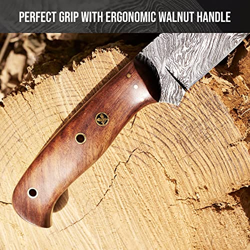 BIGCAT ROAR Handmade Damascus Hunting Knife - Bushcraft Fixed Blade Hunting Knife with Sheath and Walnut Wood Handle - 9″ EDC Skinning Knife - Little Champ