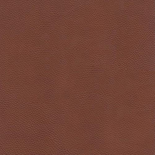 Hydeline Maui 100% Leather Loveseat, Cinnamon Brown