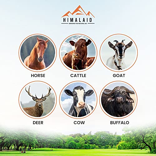 Himalaid Himalayan Salt Lick on Rope for Horses, Cattles, and Other Livestock, 6 LBS Each (3 Pack)