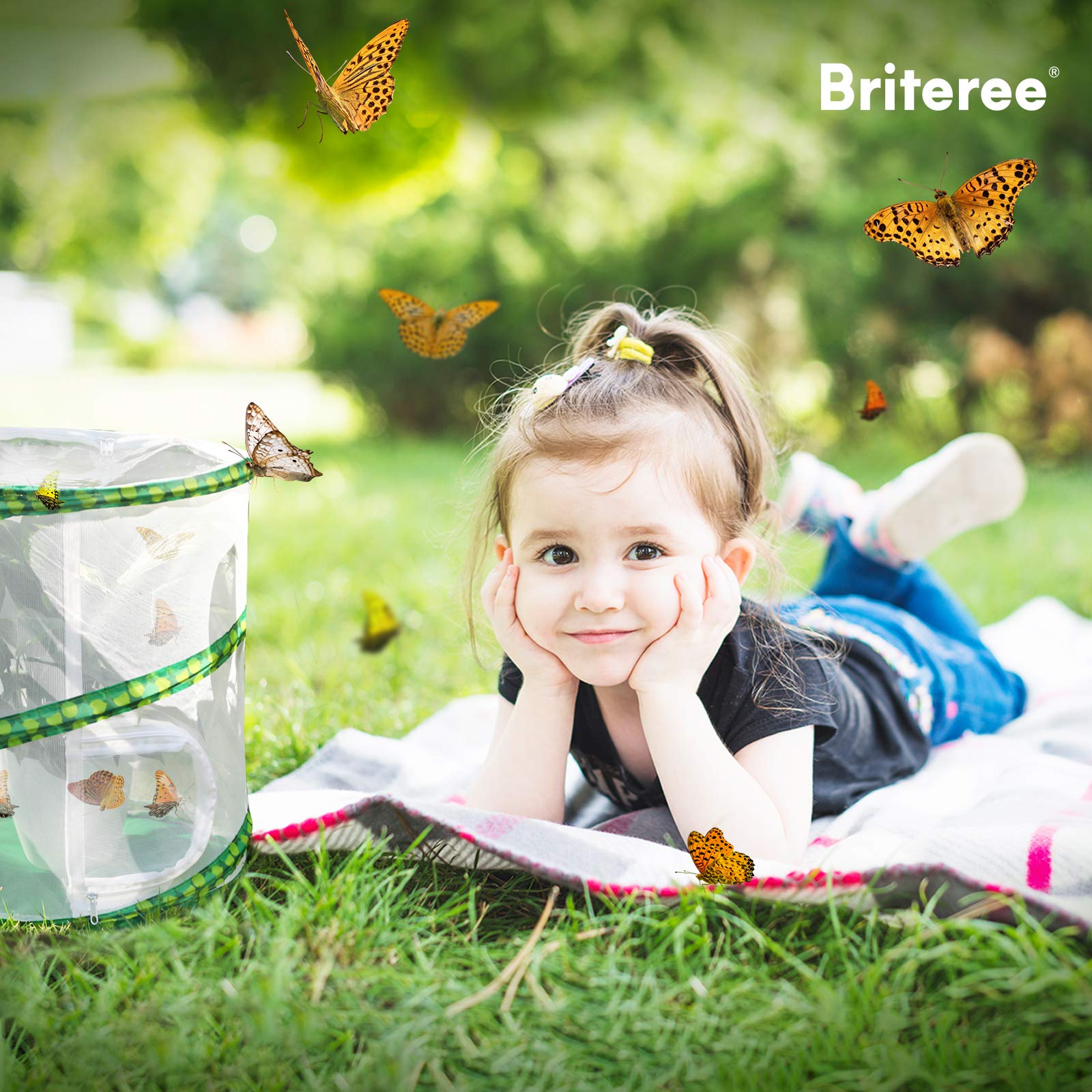 Briteree Butterfly Habitat Cage for Kids, Include Quick Start Guide Manual, Pop Up 12 X 14 Inches, Unrestricted Clear Vision