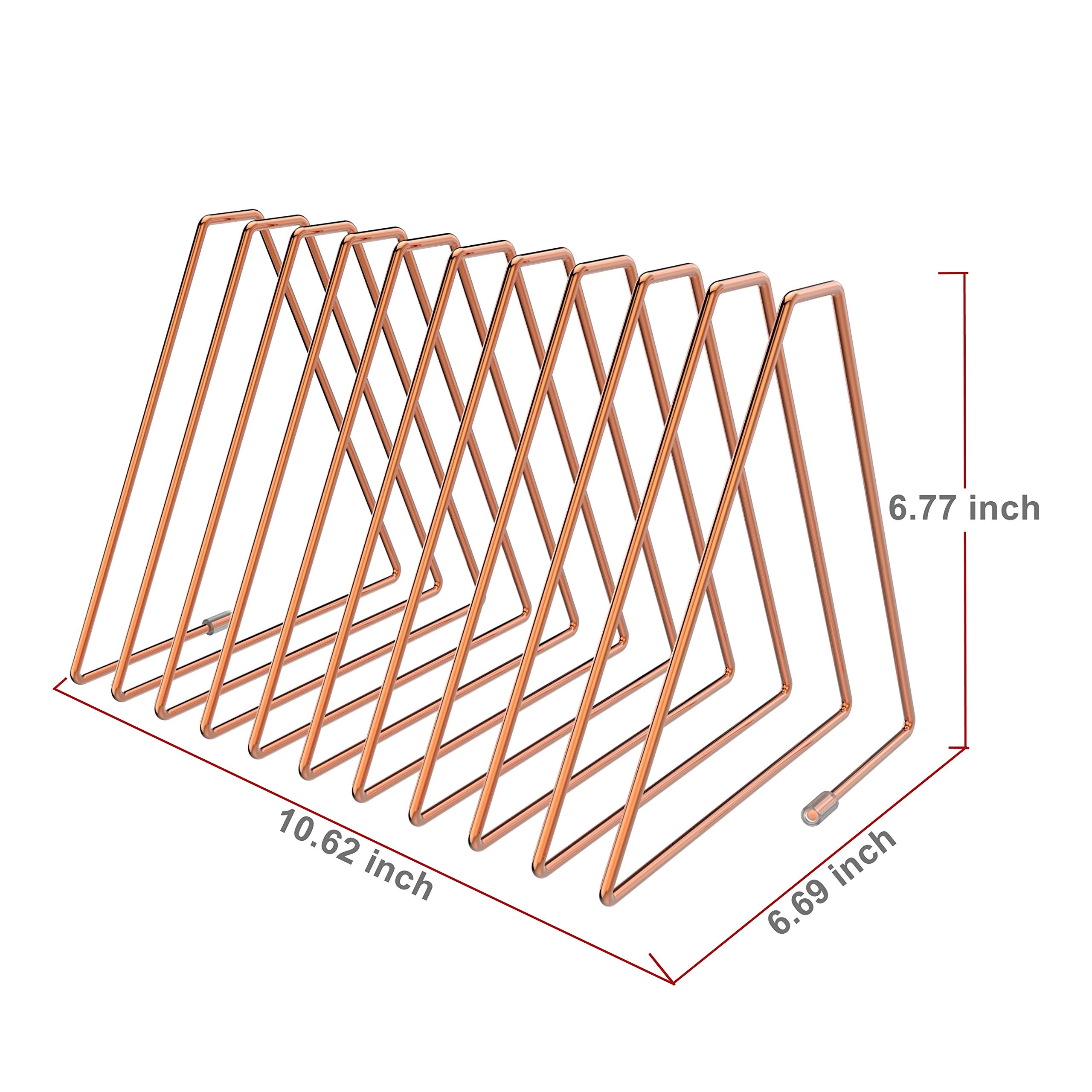 CAXXA 10 Slots Triangle Bookshelf, File Sorter, Magazine Holder, Document Holder, Rose Gold