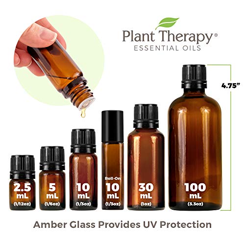 Plant Therapy Clove Bud Essential Oil 100% Pure, Undiluted, Natural Aromatherapy, Therapeutic Grade 10 mL (1/3 oz)