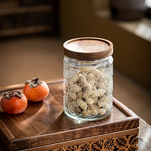 HolaJia Glass Jar with Lid β 24 oz Glass Storage Containers β Premium Jars with Airtight Lids for Coffee, Rice, Sugar β Decorative Cookie Jars for Kitchen Counter, Pantry(Fireworks)