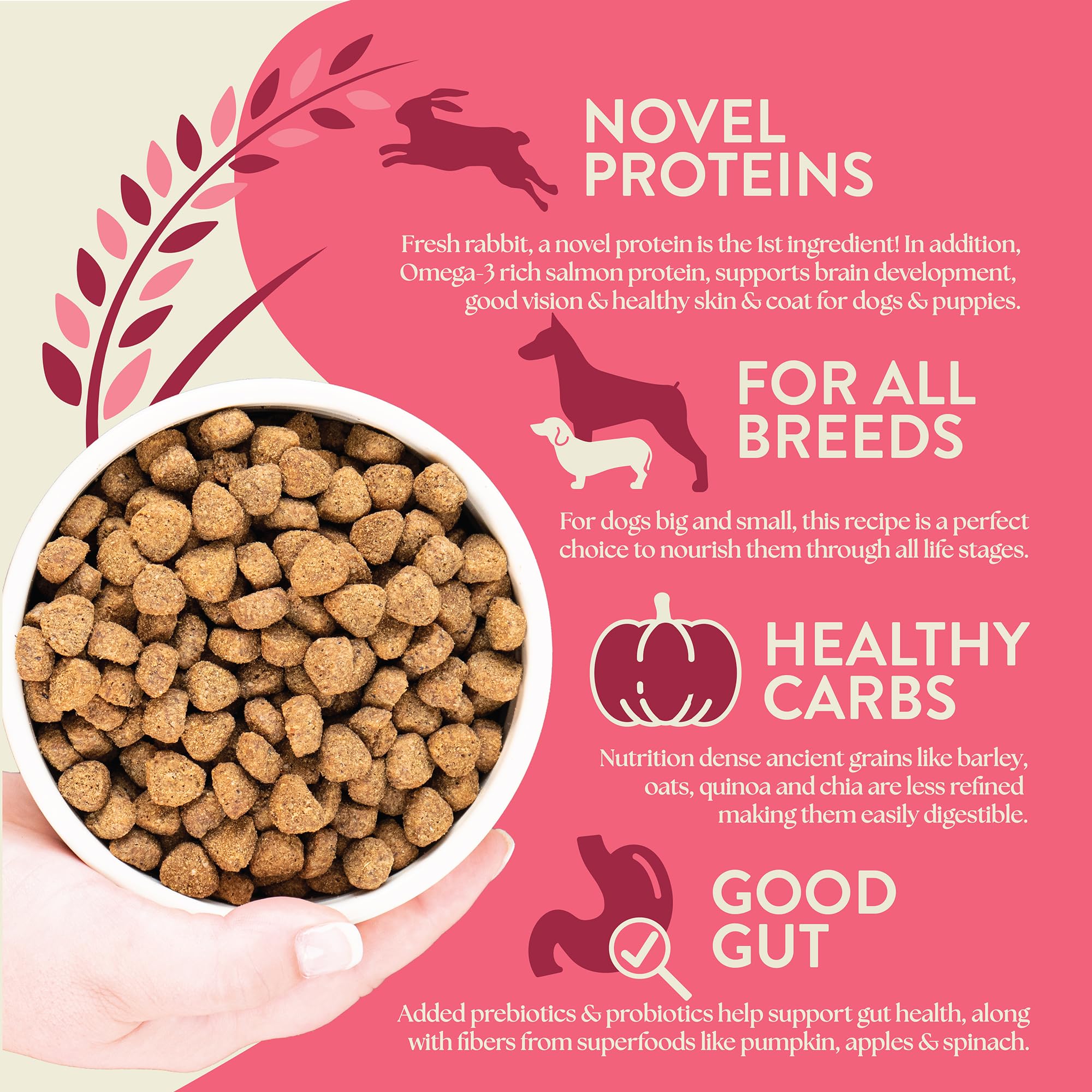 Earthborn Holistic Unrefined Roasted Rabbit with Ancient Grains & Superfoods Dry Food for Dogs & Puppies (4 lb. Bag)