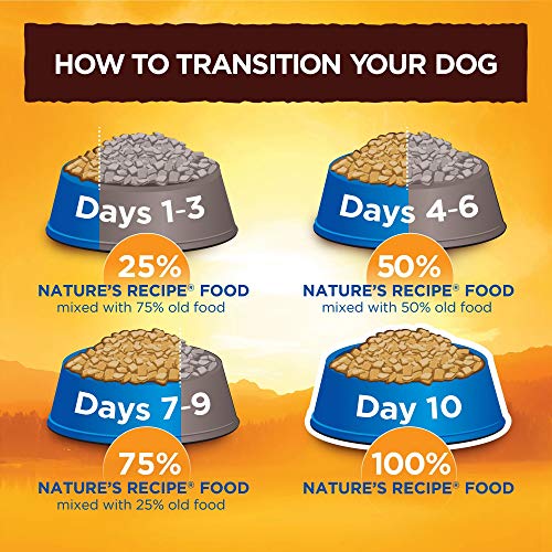Nature's Recipe Grain Free Easy to Digest Salmon, Sweet Potato and Pumpkin Recipe Dry Dog Food, 4-Pound