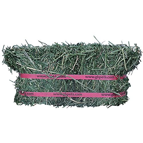 Grandpa's Best Alfalfa Hay, 5 lbs