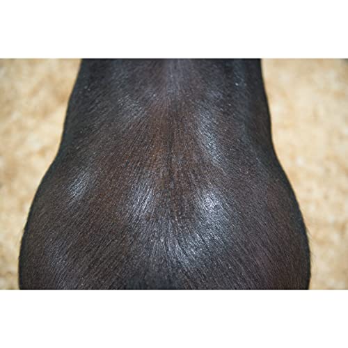 Weaver Leather Swine Conditioner and Shine Gallon, Natural, 128.0 FL Oz
