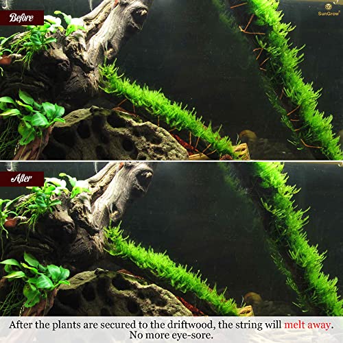 SunGrow Self-Dissolving Driftwood Strings, 20β Long Rope, Tie Java Fern, Moss, Anubias Plants, Blends with Cholla, Driftwood, 20-pcs