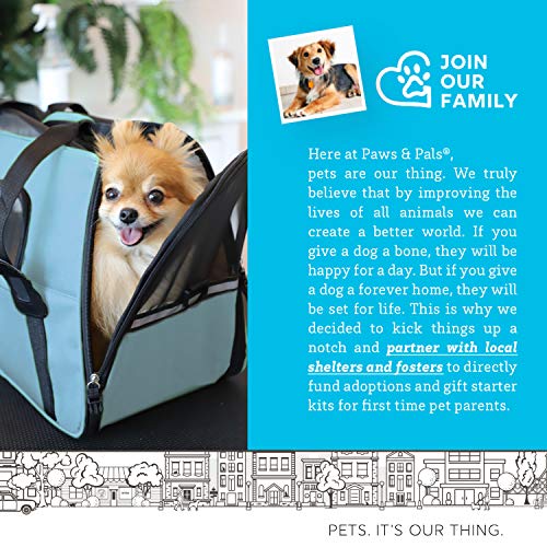 Paws & Pals Airline Approved Pet Carriers with Fleece Bed For Dog & Cat, Large, Mineral Blue