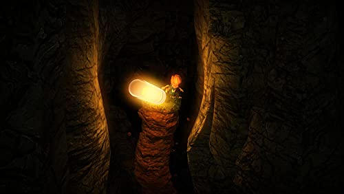 Max The Curse of Brotherhood (PS4)