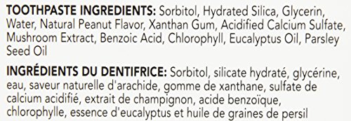 Petrodex Dental Care Kit for Dogs, Toothpaste and Toothbrushes, Peanut Flavor, 3-Piece Kit