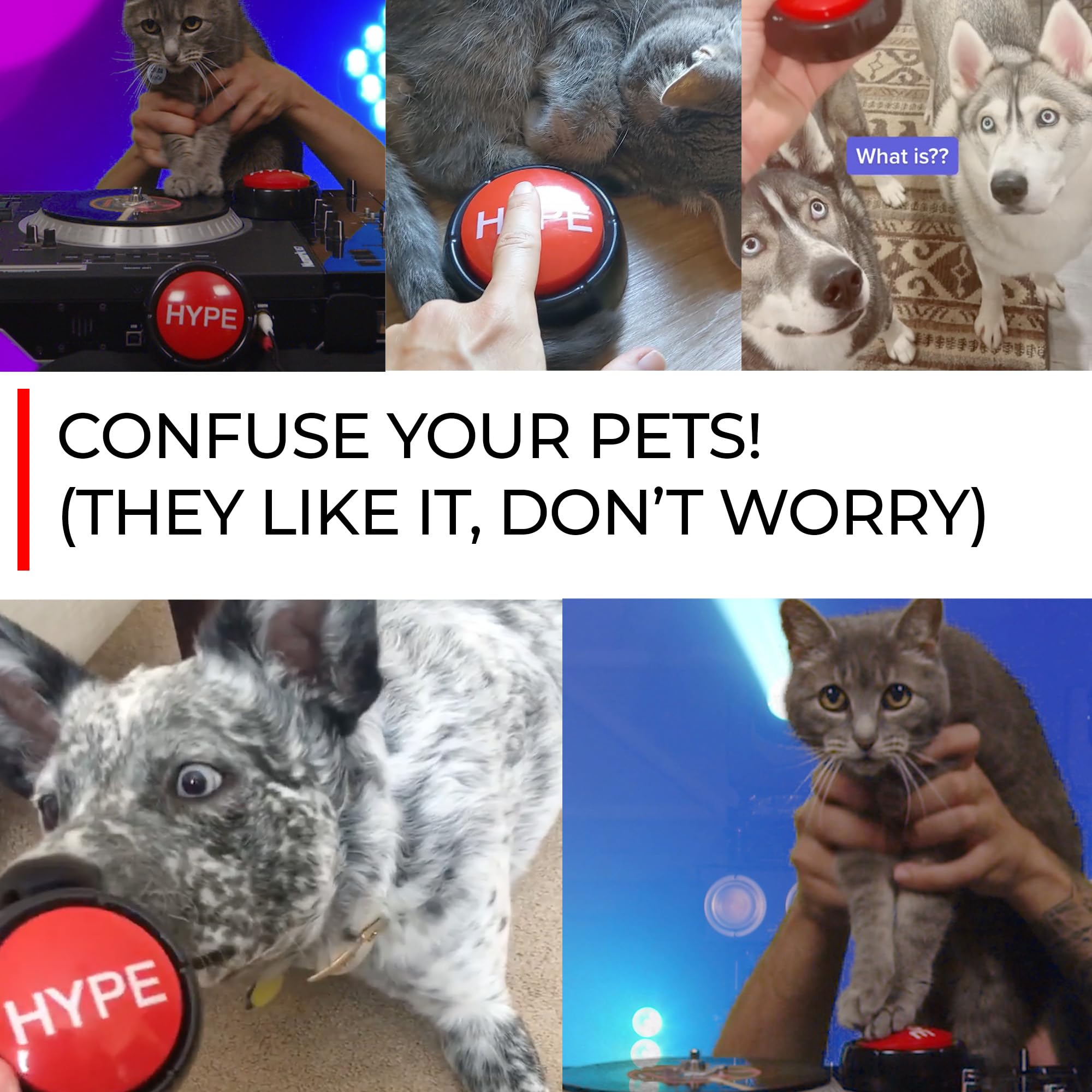 Hype Button | Hip Hop Air Horn Sound Effect Button (Batteries Included) Stocking Stuffer Back to School Classroom Teacher Office Desk Sales Marketing Gag Nut Funny Toy Class