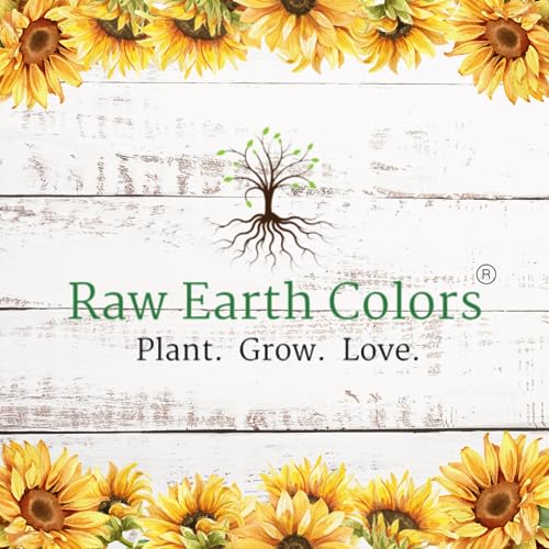 Dwarf Sunflower Seeds for Planting - to Plant and Grow Teddy Bear and Sunspot in Your Flower Garden.