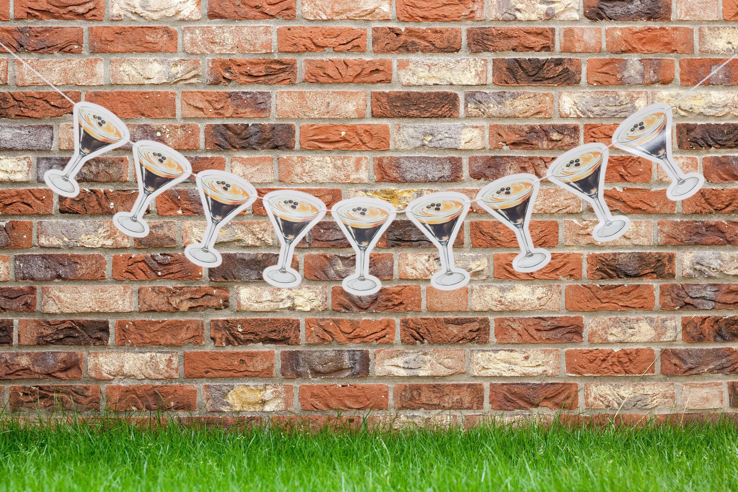 Espresso Martini Party Banner,Espresso Martini Theme Bachelorette/Birthday Party Decorations, Martini Bar Party Decor,Cocktail Party Decorations,A Tini Bit Older,Weenies & Tinis Theme Party Supplies