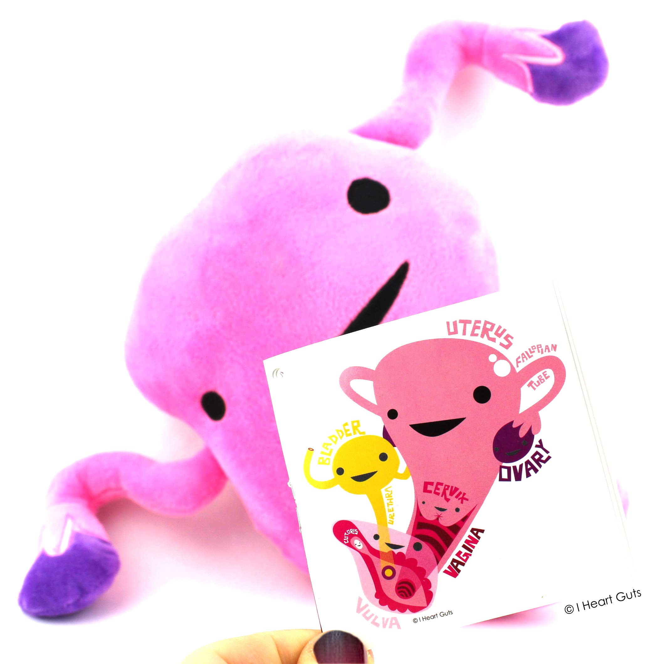 I Heart Guts Uterus Plush - Get a Womb - Soft & Cuddly Plush Uterus Pillow, Educational Stuffed Animals for Gynecology Residents, Obstetricians, Med Students, Endometriosis Gifts