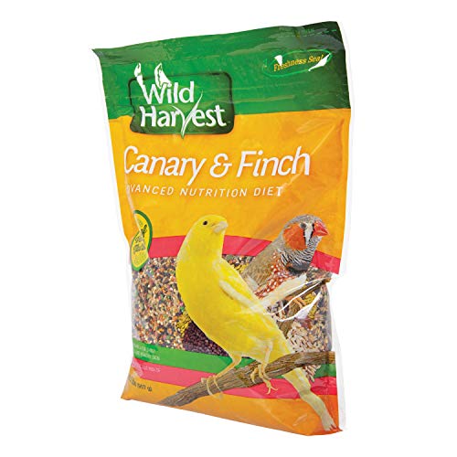 Wild Harvest B12492Q-001 Canary and Finch Food Blend, One Size,2.17 pound