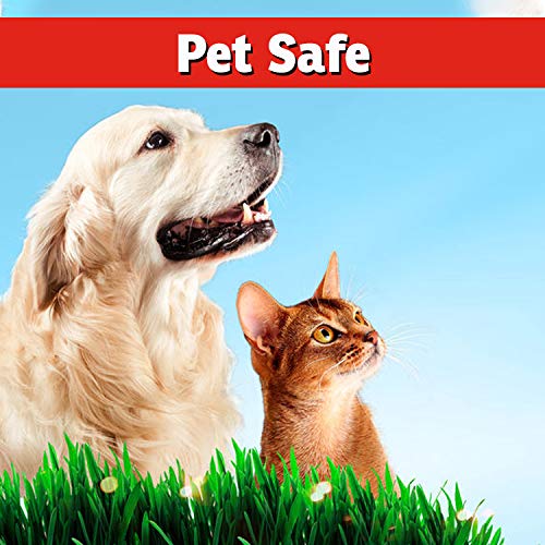 I Must Garden Deer Repellent Hose-End Concentrate: Spice Scent Deer Spray for Gardens, Plants, and Trees β 32oz Covers 10,000 sq. ft.