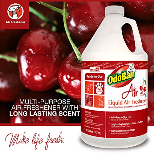 OdoBan Professional Series Ready-to-Use Air Liquid Air Freshener, Set of 3, 1 Gallon Each, Cherry, Spring Fresh and Lavender Variety