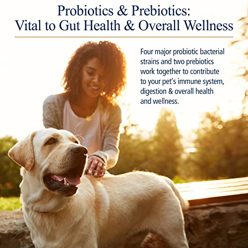 Rx Biotic for Pets 2.12 oz Powder - Professional Veterinary Formulas - Hypoallergenic & Vegetarian