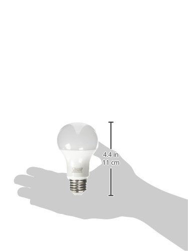 Feit Electric LED Light Bulbs, A19 60W Equivalent, Non-Dimmable, 800 Lumens, A19 LED Light Bulbs, E26 Base, 5000k Daylight, A19 LED Bulbs, 10 Year Lifetime, 1 Pack, A800/850/10KLED