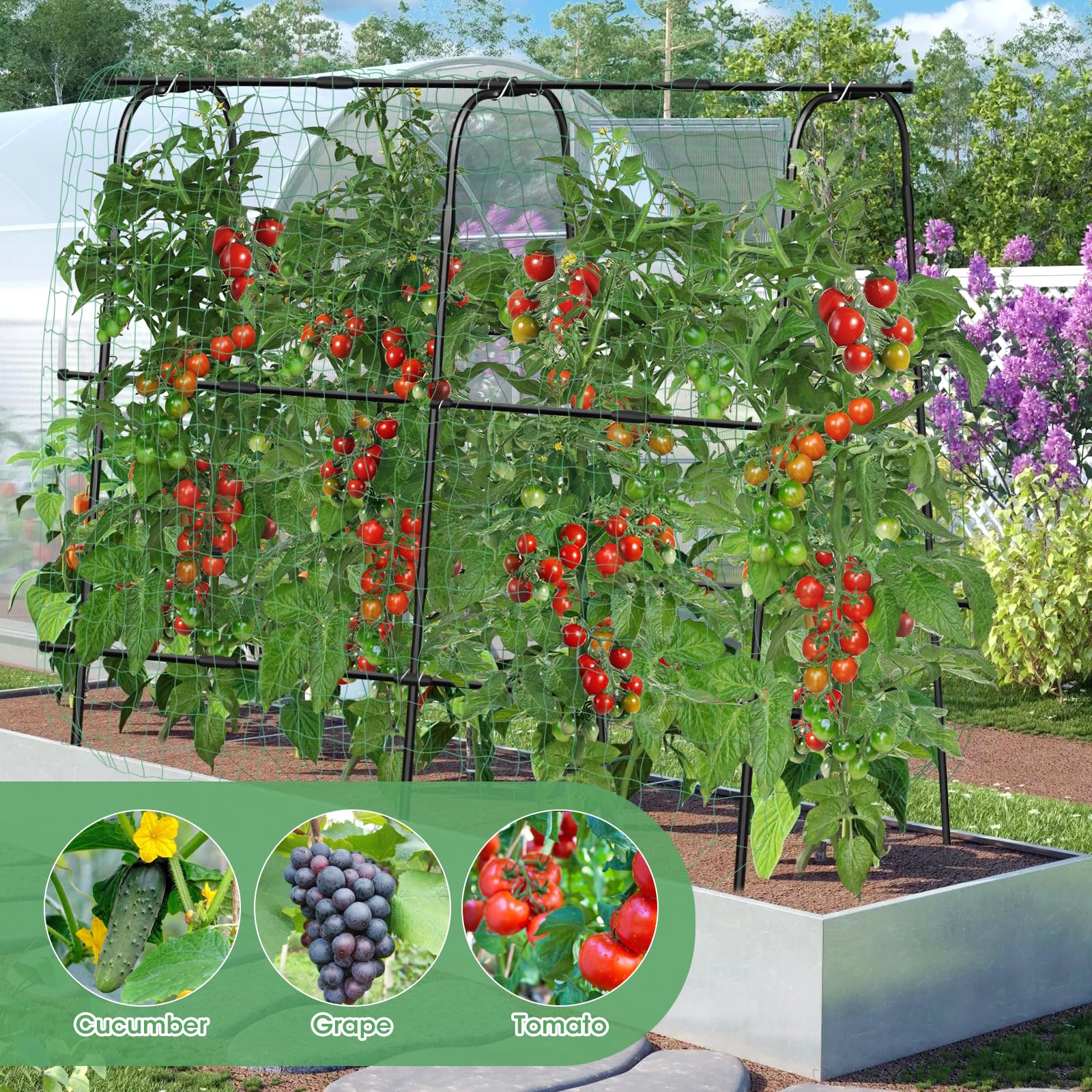 Cucumber Trellis for Garden Vegetable Trellis,63" x 63" U-Shaped Metal Garden Trellis Arch Plant Grow Support Frame for Climbing Plants Support Vegetable Flower Fruits Vine,with Nylon Netting(Black)
