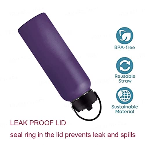 HKM Brothers Insulated Stainless Steel Water Bottle β Straw-Spout-Handle Lids, Vacuum Wide Mouth GalonWater Bottles β Ring-Collapsible β Straw Lids