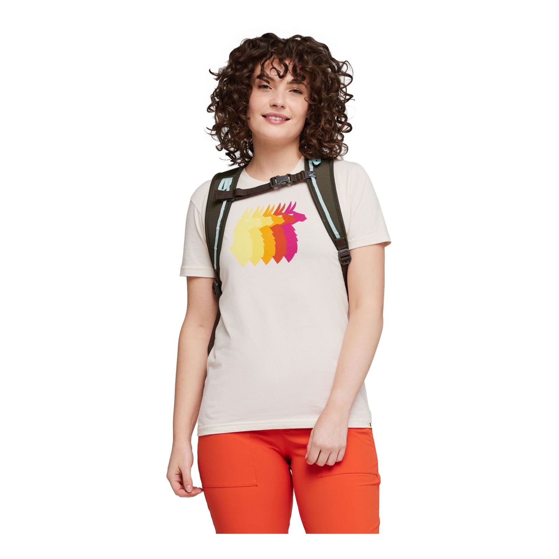 Cotopaxi Moda 20L Backpack - Cada Dia - Gulf