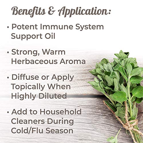 Plant Therapy Oregano Essential Oil 100% Pure, Undiluted, Natural Aromatherapy, Therapeutic Grade 10 mL (1/3 oz)