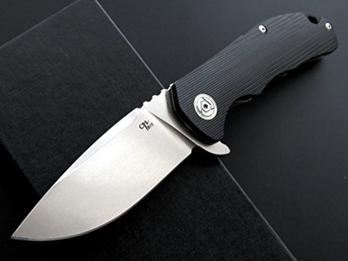 Eafengrow CH3504-G10 Flipper Folding Knife Camping Fruit Pocket Knives EDC Tools D2 Blade Ball Bearings Outdoor Tool (black)
